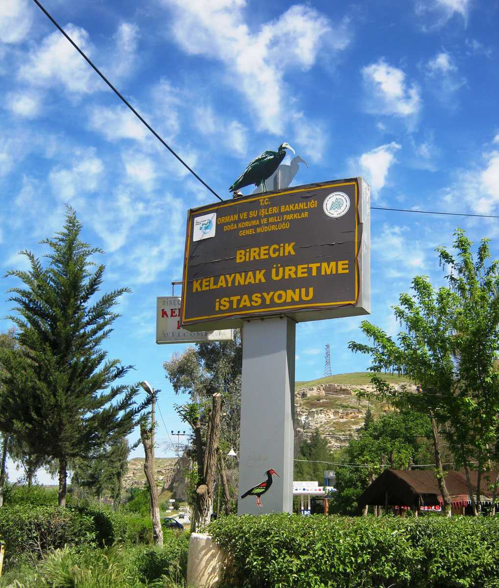 BİRECİK’TE GEZİLECEK YERLER-KELAYNAKLARIN YAŞAM YERİ – Seyahat Tutkunu Gezginler